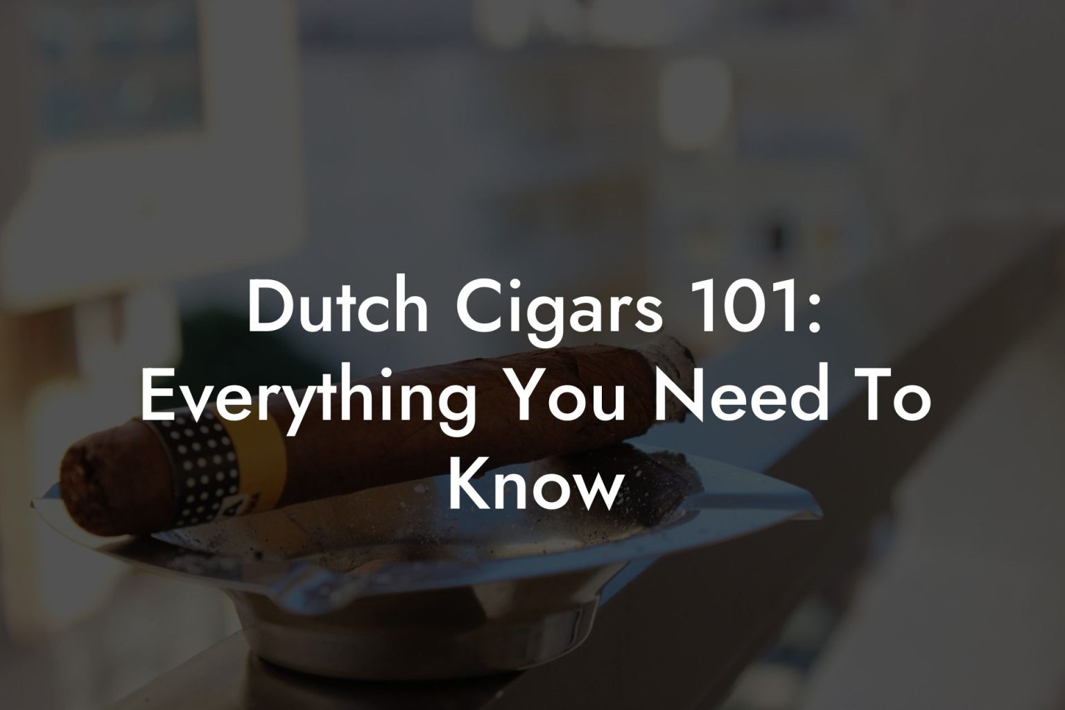 Dutch Cigars 101: Everything You Need To Know - Swinger Cigar | Cigar ...