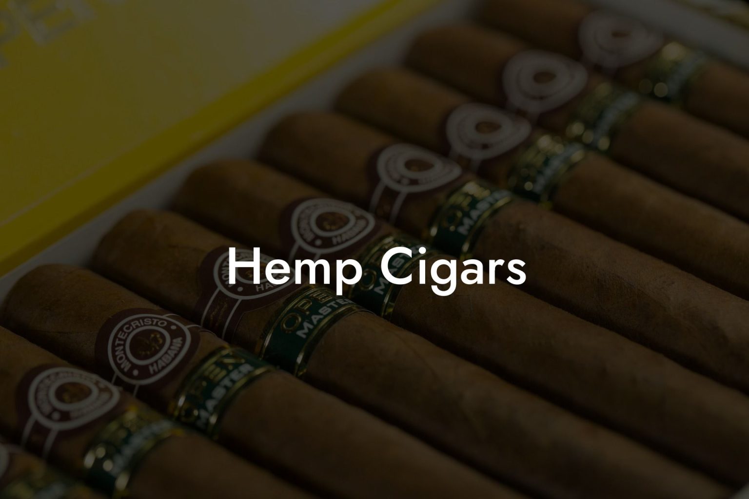 Thompson Cigars - Swinger Cigar | Cigar Lifestyle