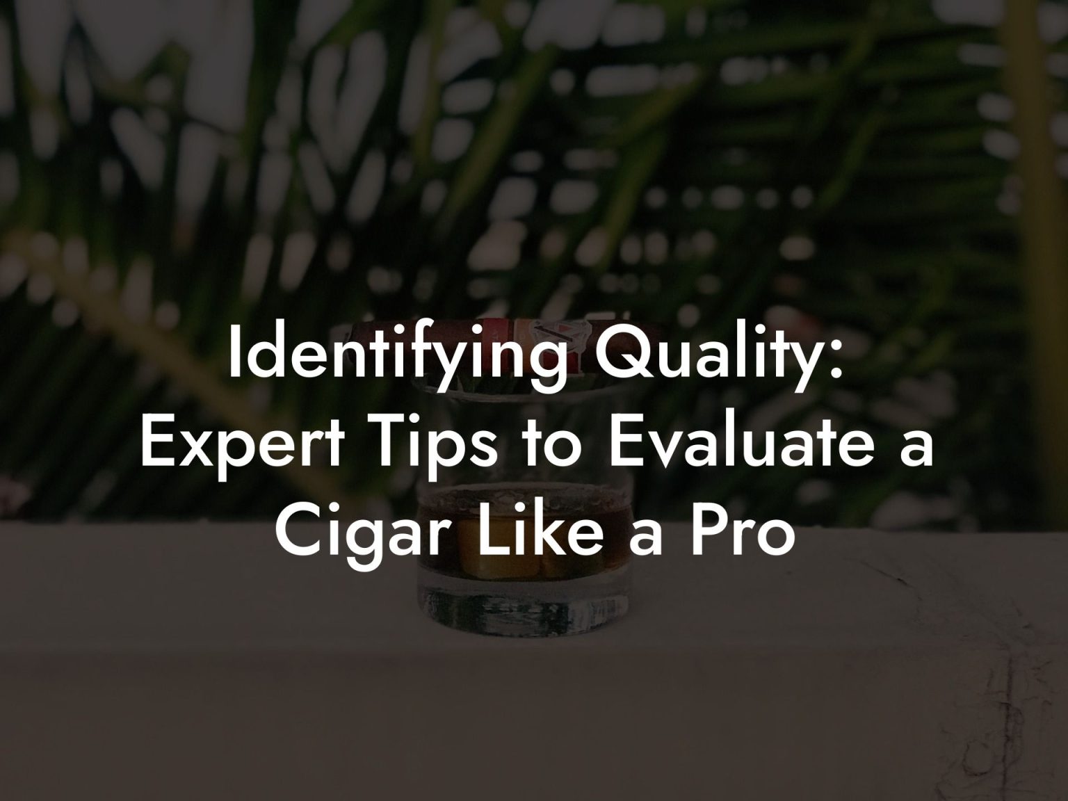 Identifying Quality: Expert Tips to Evaluate a Cigar Like a Pro - Swinger Cigar | Cigar Lifestyle