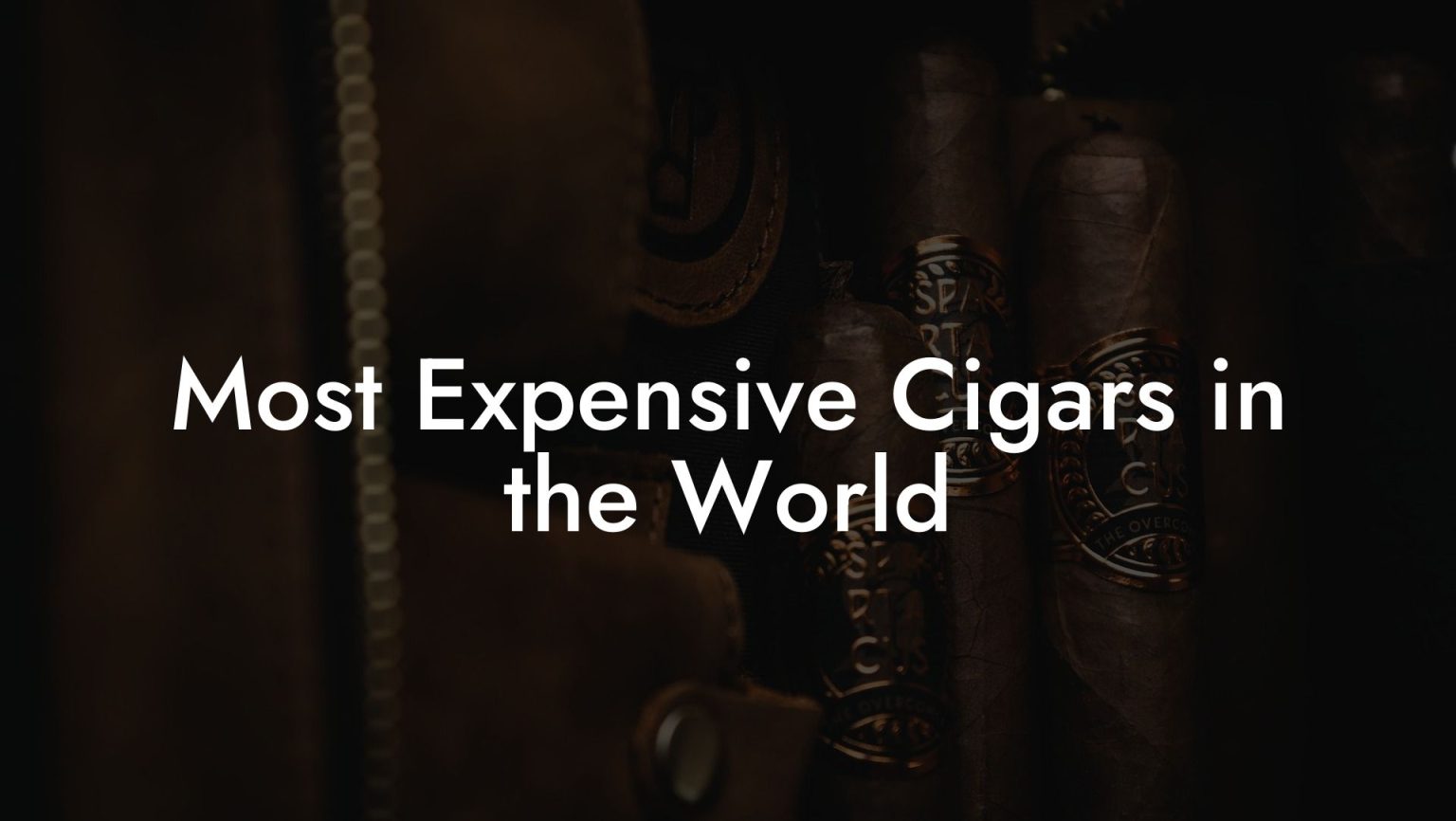 Most Expensive Cigars in the World - Swinger Cigar | Cigar Lifestyle