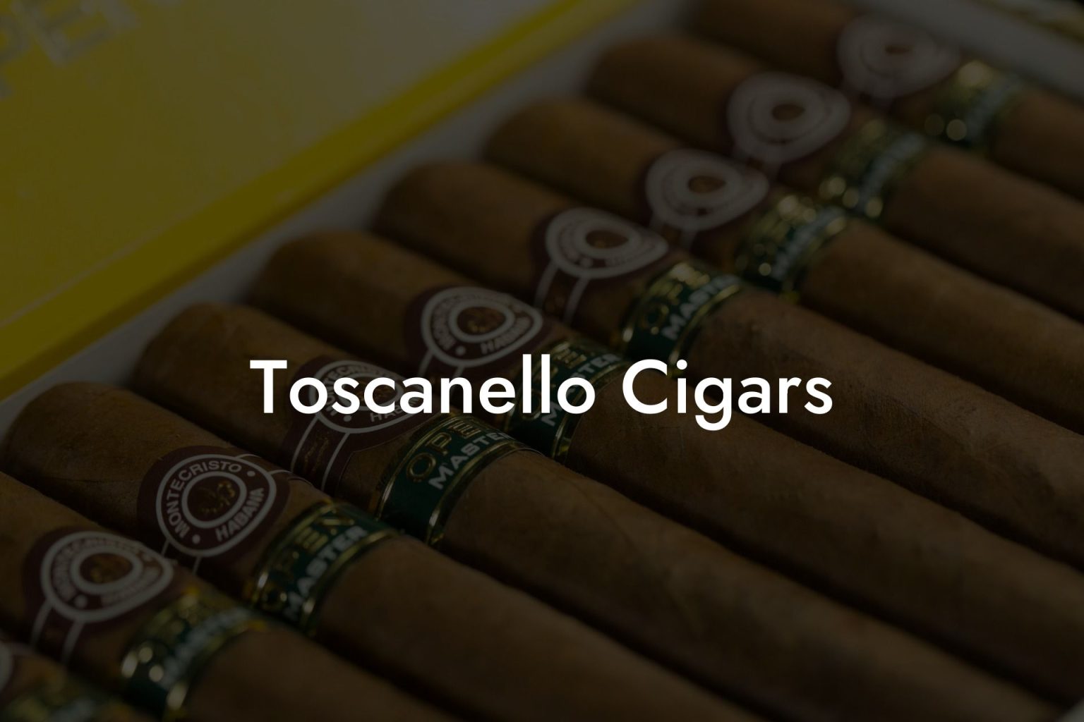 Toscanello Cigars - Swinger Cigar | Cigar Lifestyle