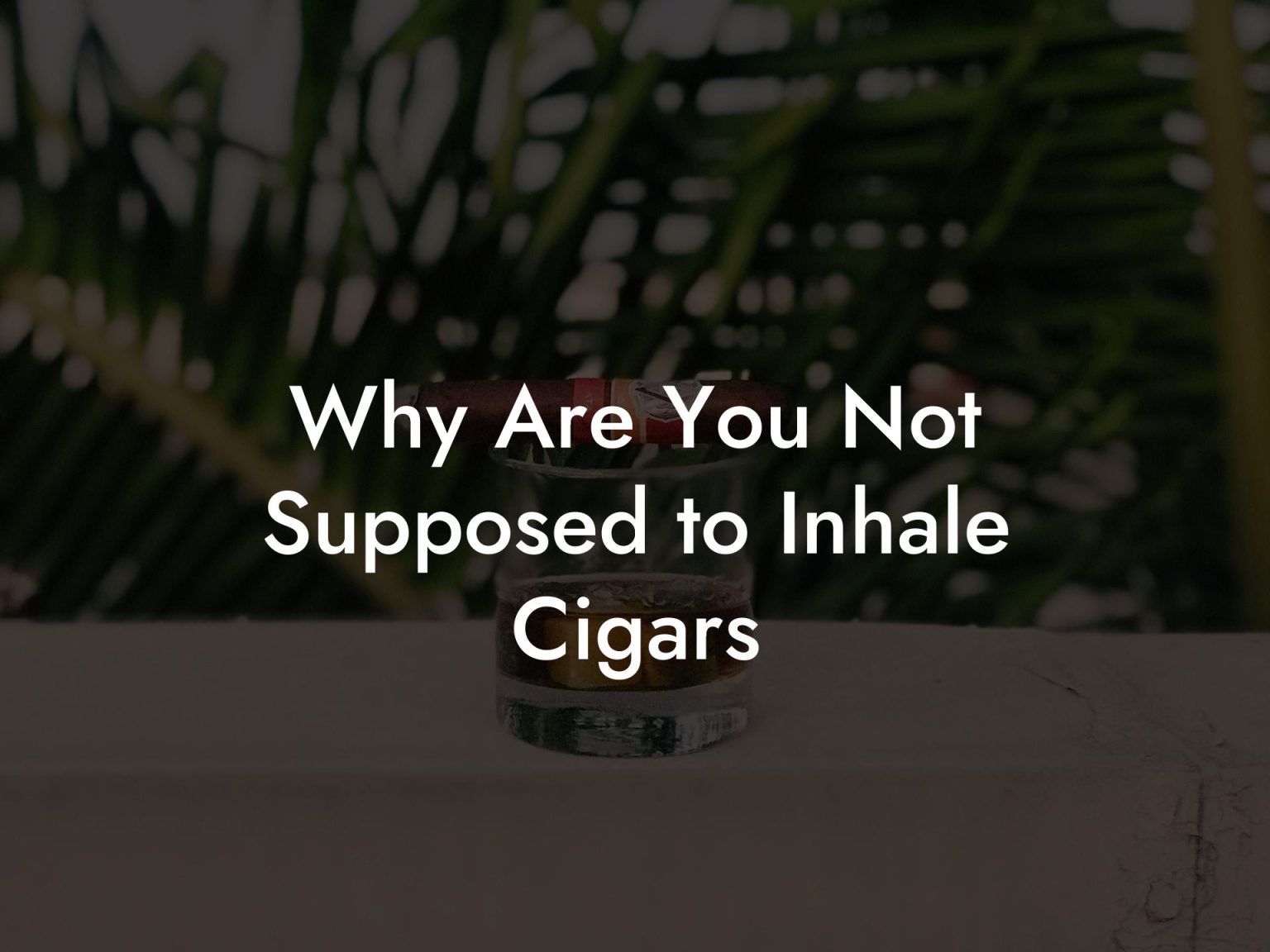 Why Are You Not Supposed to Inhale Cigars - Swinger Cigar | Cigar Lifestyle